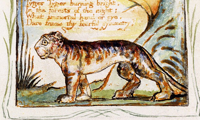 The Tyger, By William Blake | Tiger Therapy